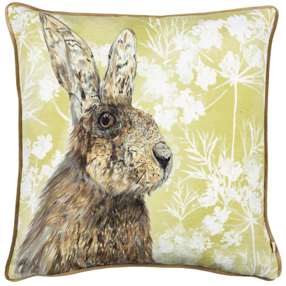 Manor Hare Cushion - Sofa Shop Norwich Norfolk Suffolk Anglia Sofas ...